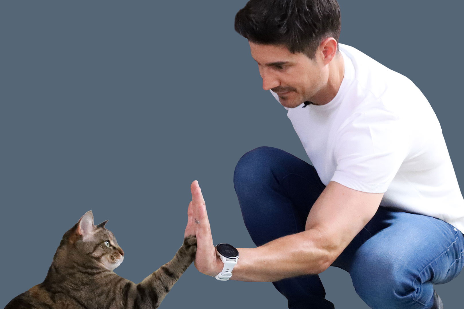 «Einstein»: Hund und Katze – Dein Tier besser verstehen (Teil 2) - Medienportal - SRF